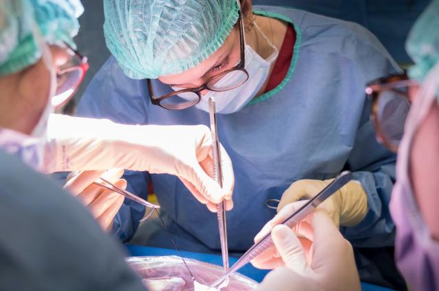 Tiroidectomía: principales detalles | Hospital de Bellvitge